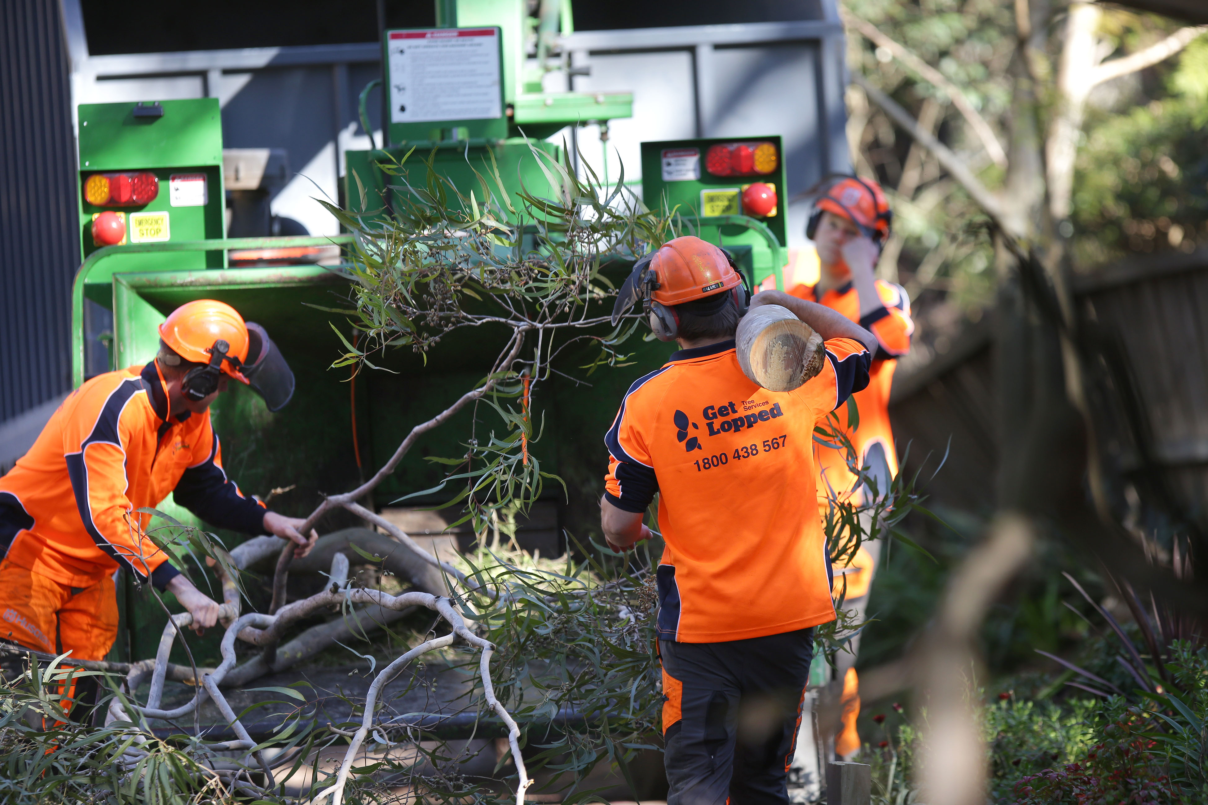 A Quick Guide to Hiring a Quality Tree Service Business - TreeLink